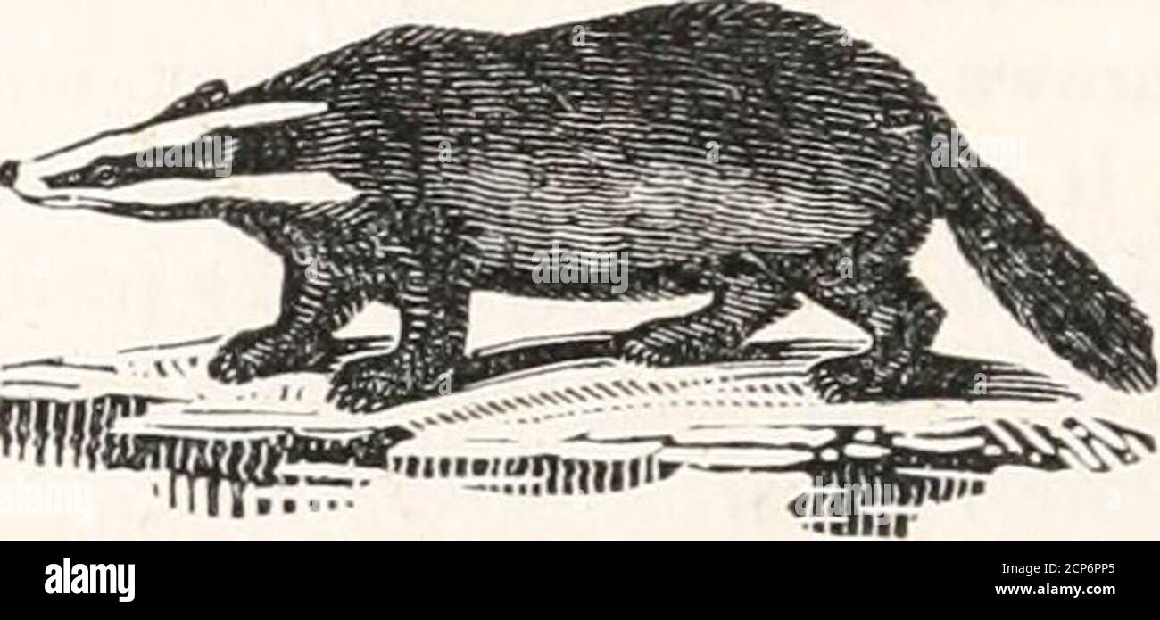 . The naturalist's library; containing scientific and popular ...