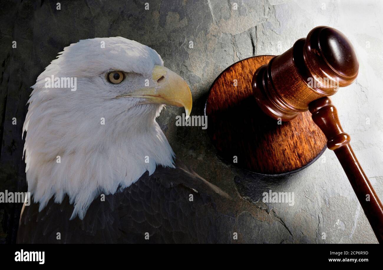Justice eagle hi-res stock photography and images - Alamy