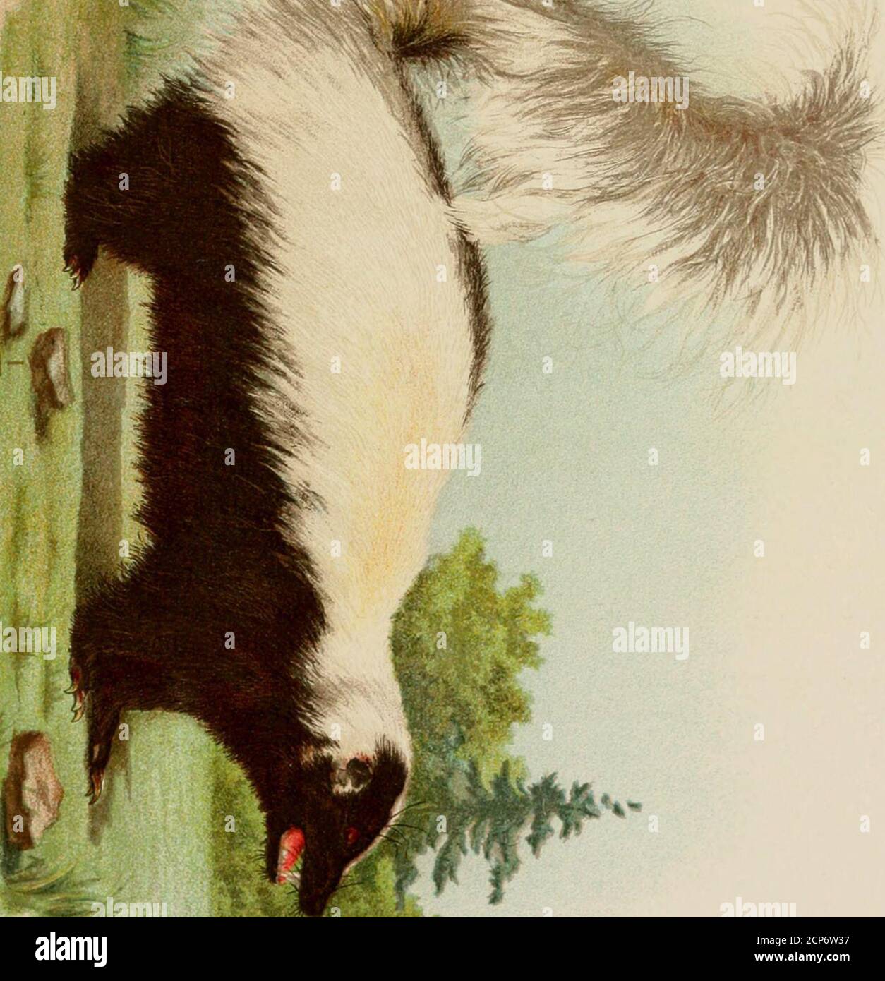 Ladieswear High Resolution Stock Photography and Images - Alamy