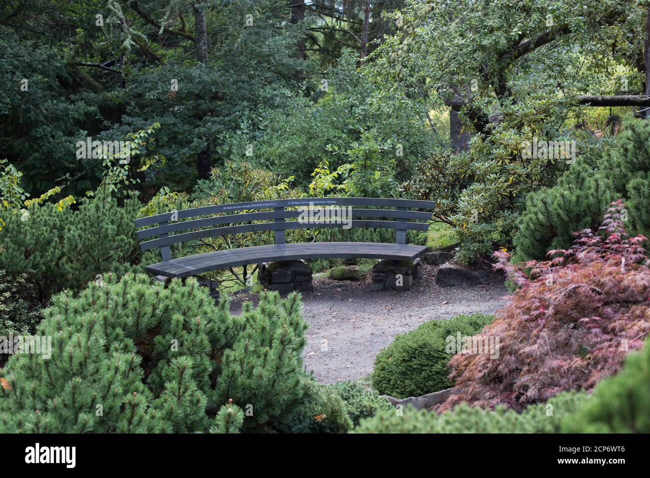 A bench in Hendricks Park in Eugene, Oregon, USA Stock Photo - Alamy