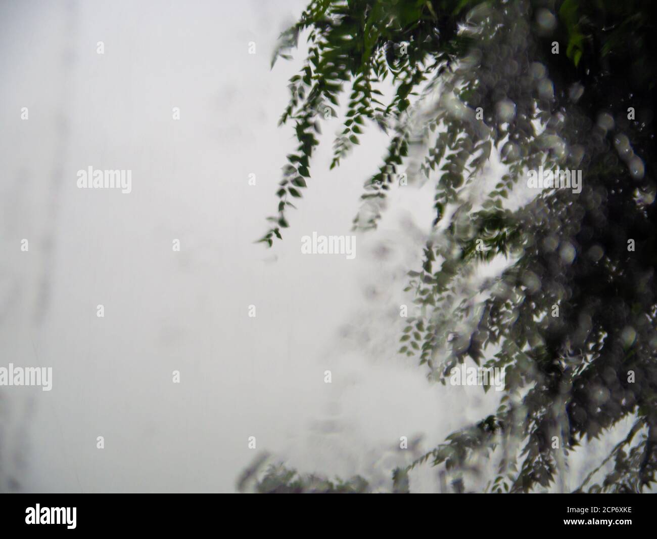 Rainy scenery hi-res stock photography and images - Alamy