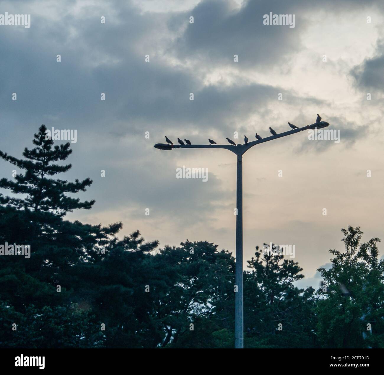 Work scenery hi-res stock photography and images - Alamy