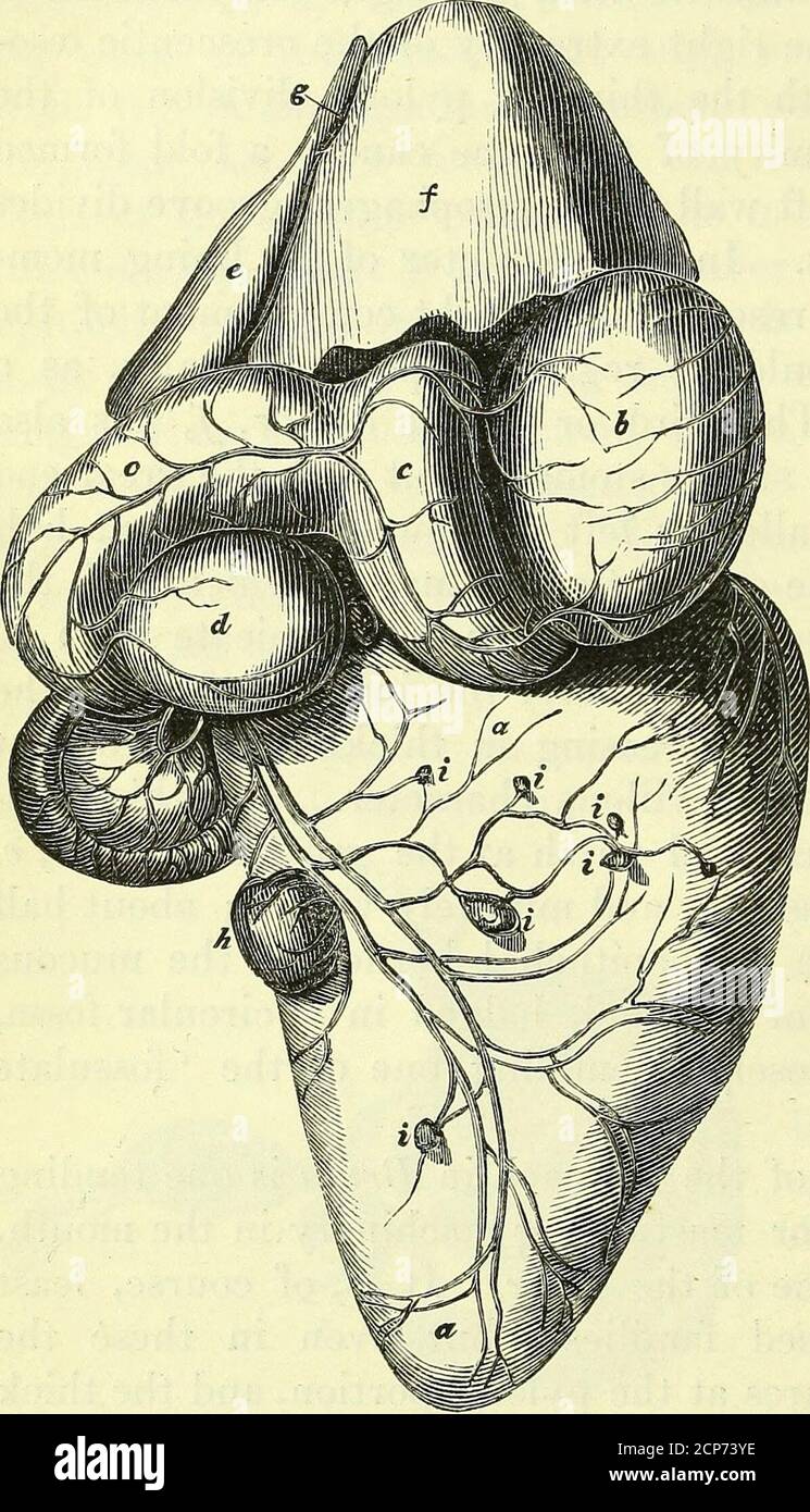 Deep Constriction High Resolution Stock Photography and Images - Alamy