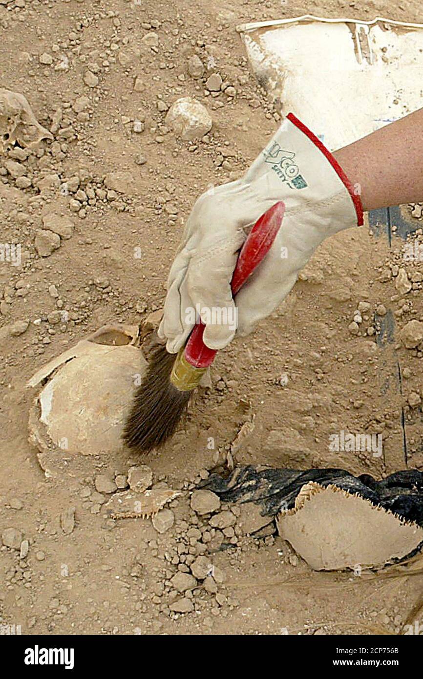 Forensic archaeologist hi-res stock photography and images - Alamy