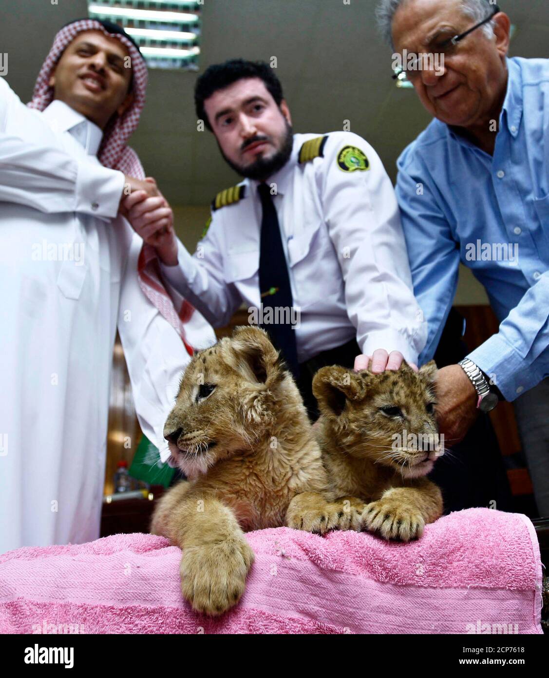 The riyadh zoo hi-res stock photography and images - Alamy