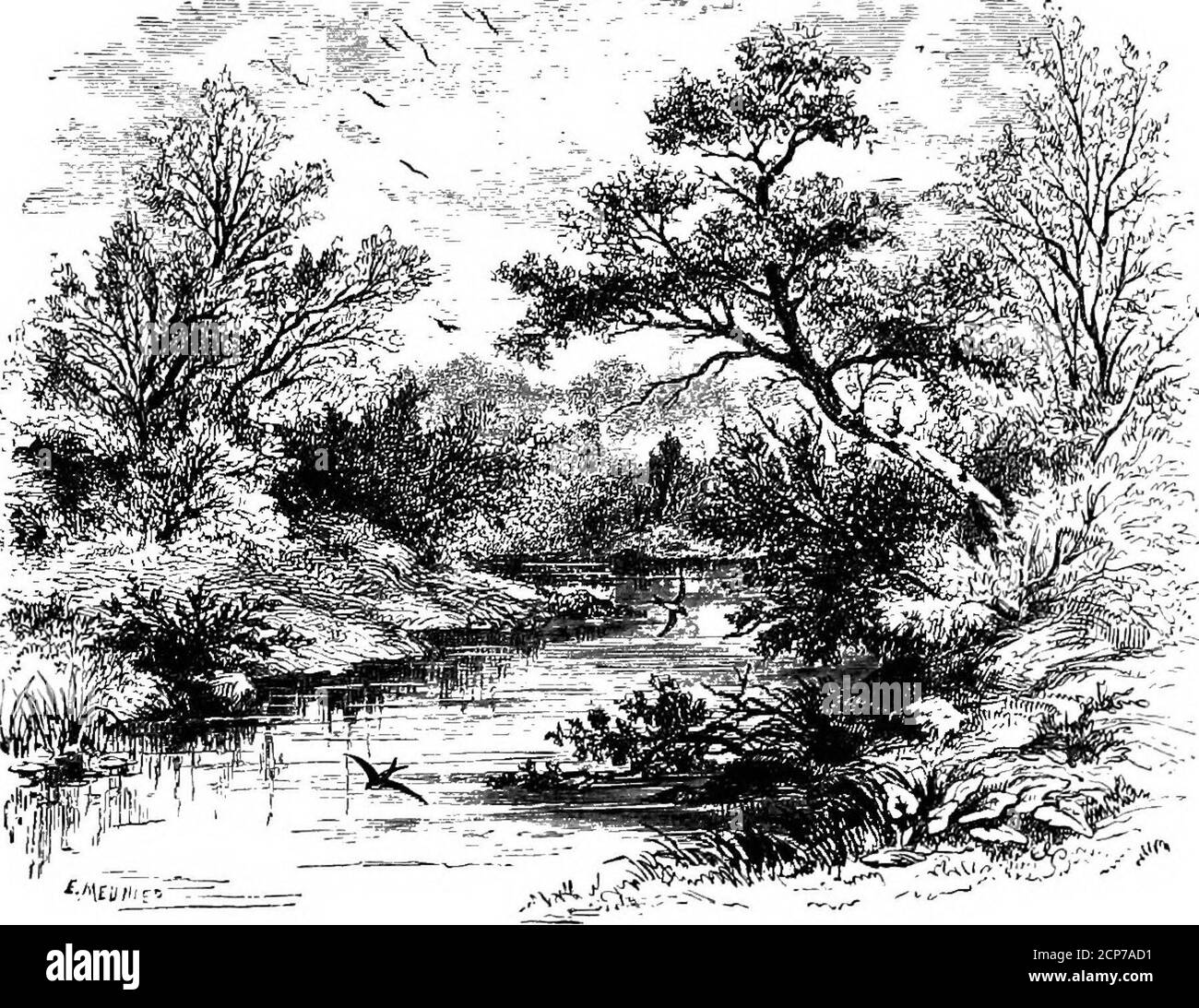 Possessed Vegetables High Resolution Stock Photography and Images - Alamy