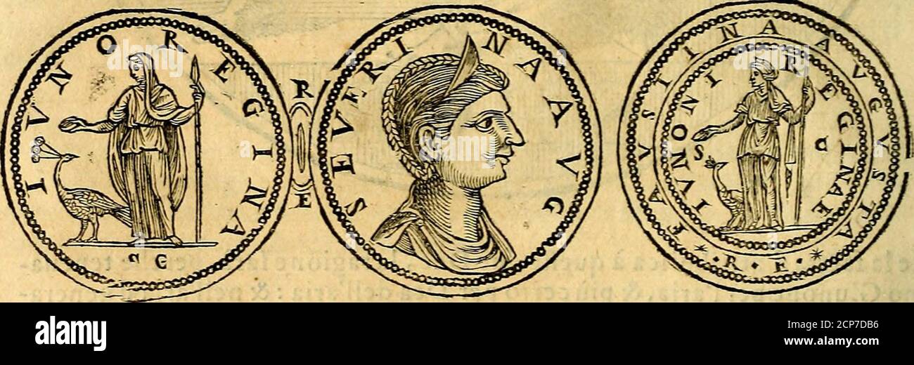 Vacca don hi-res stock photography and images - Alamy