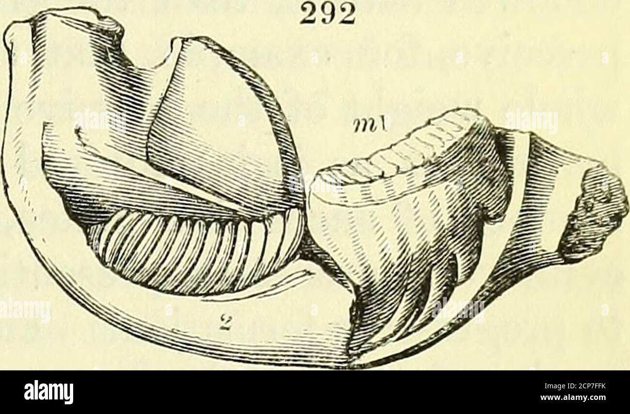 Concave central section hi-res stock photography and images - Alamy