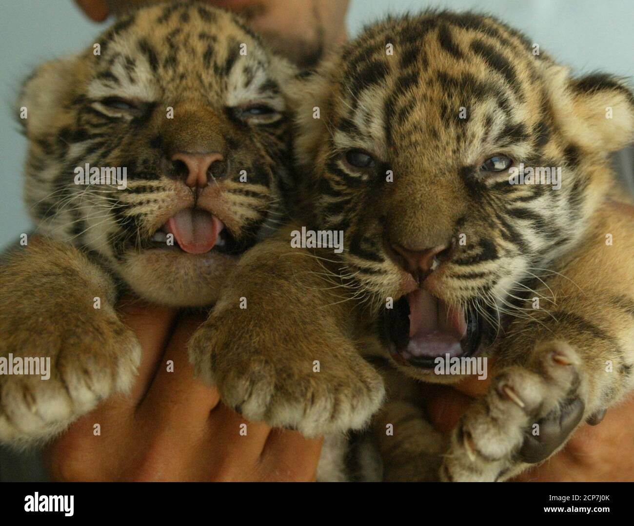 Baby lina hi-res stock photography and images - Alamy