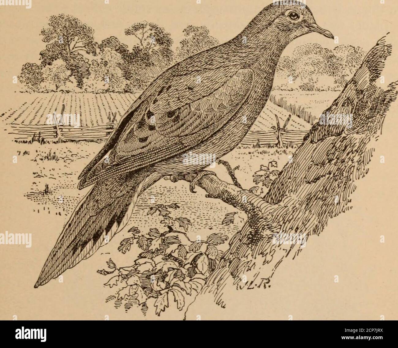 Bookidlegislation0 hi-res stock photography and images - Alamy