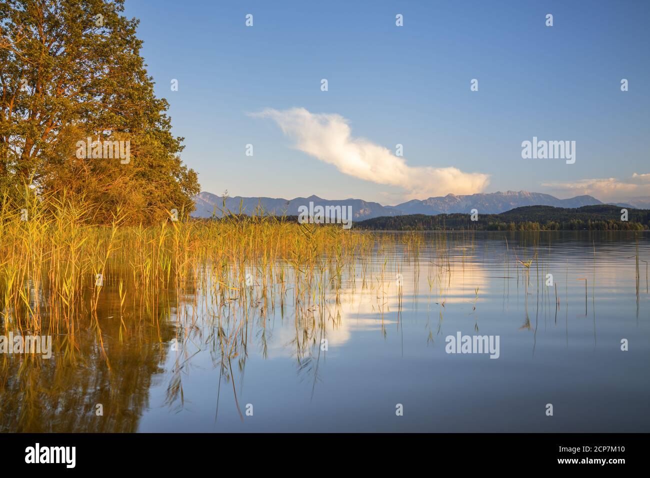 Evening at the Staffelsee, Uffing am Staffelsee, Upper Bavaria, Bavaria ...