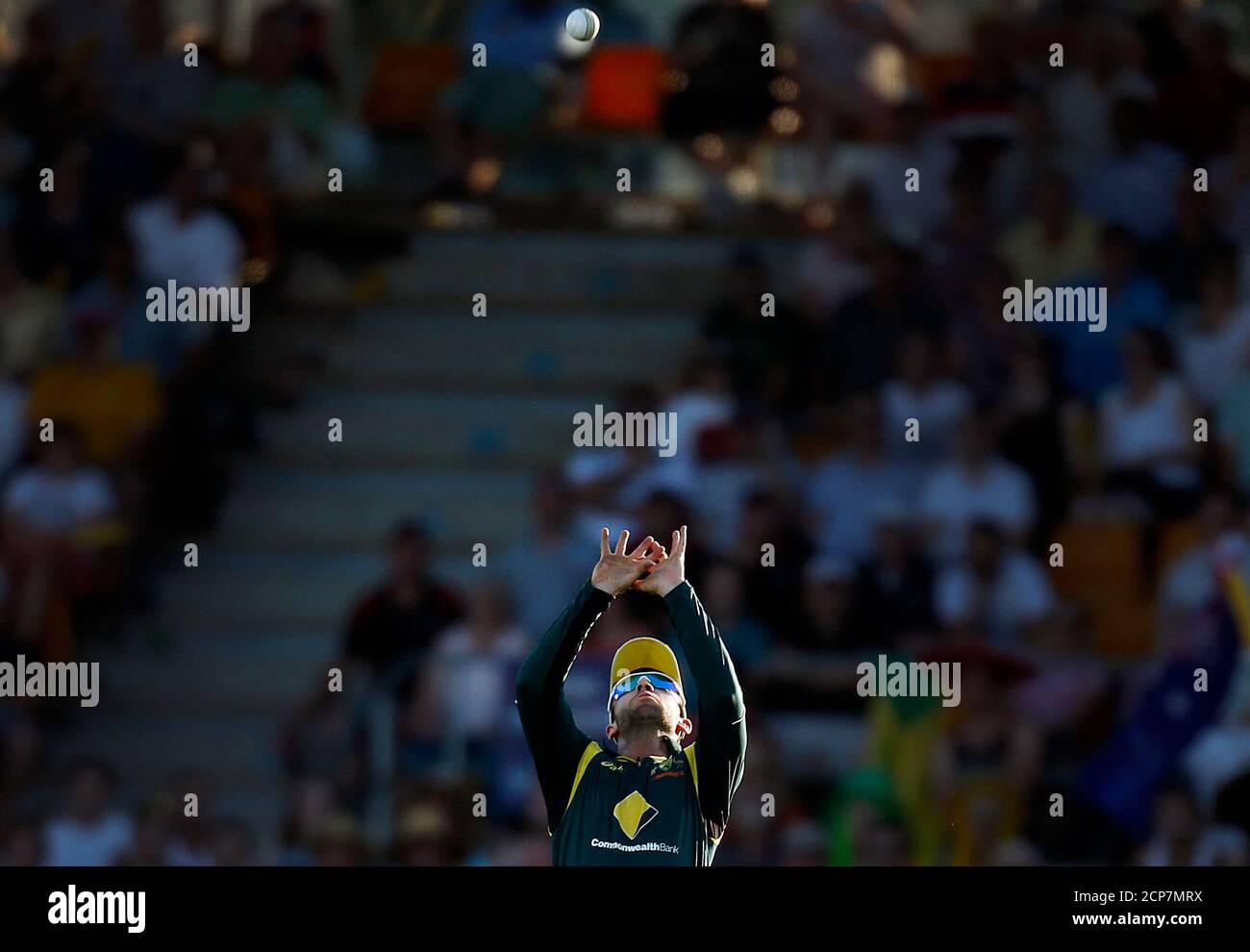 Devon thomas cricket hi-res stock photography and images - Alamy