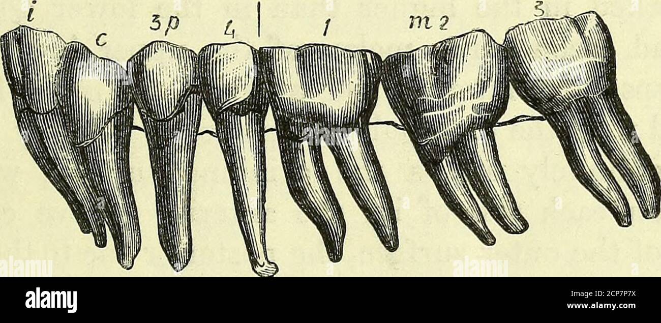 Parabolic curve hi-res stock photography and images - Alamy