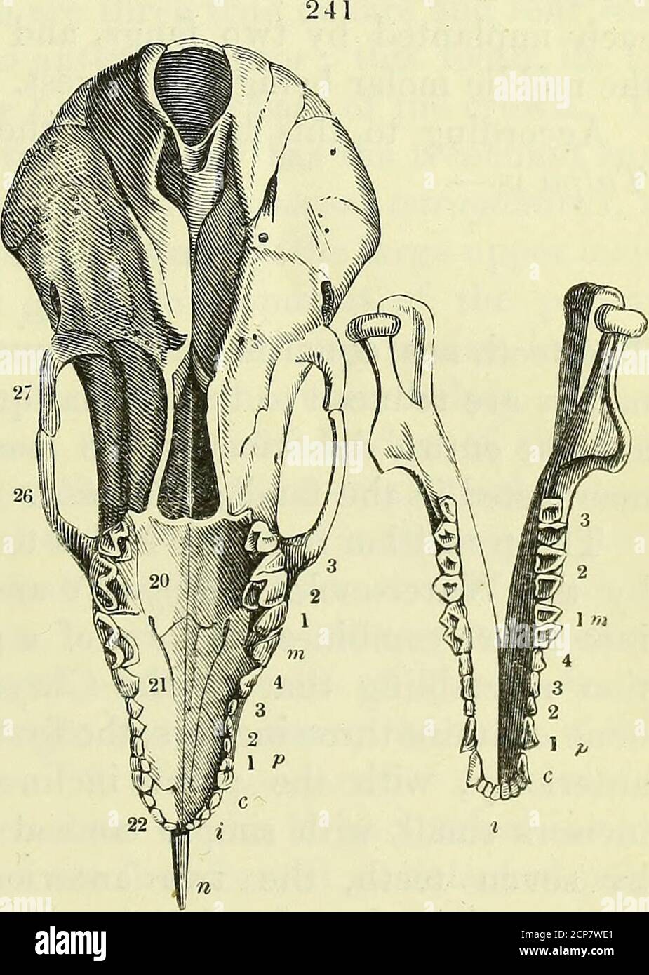 . On the anatomy of vertebrates [electronic resource] . tion, bythe ...