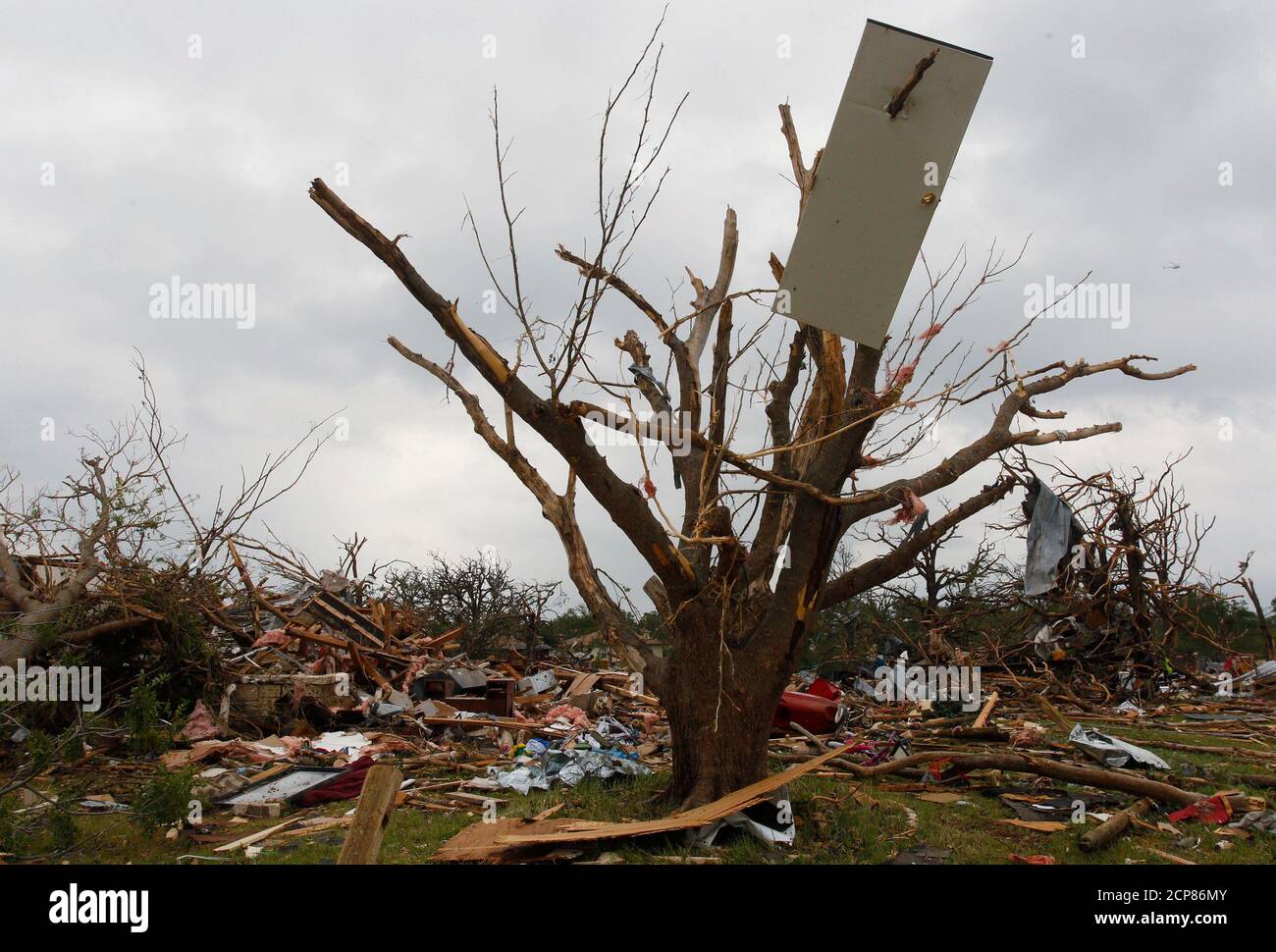 Branch impaled hi-res stock photography and images - Alamy