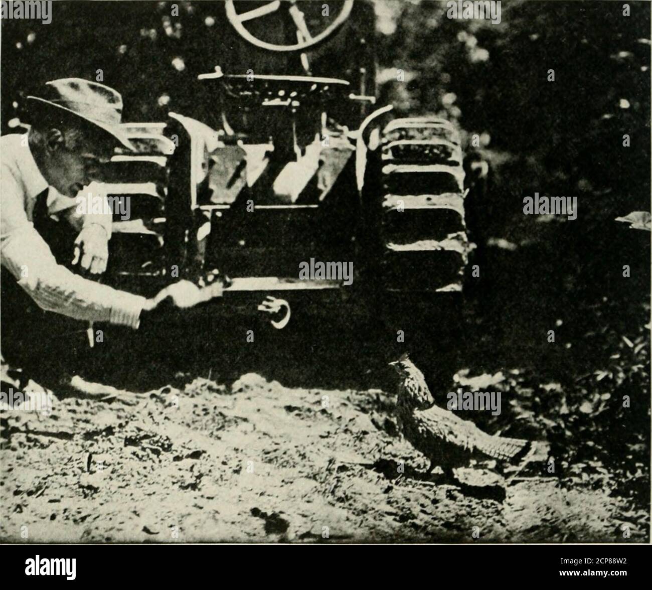 Four bird infantry hi-res stock photography and images - Alamy