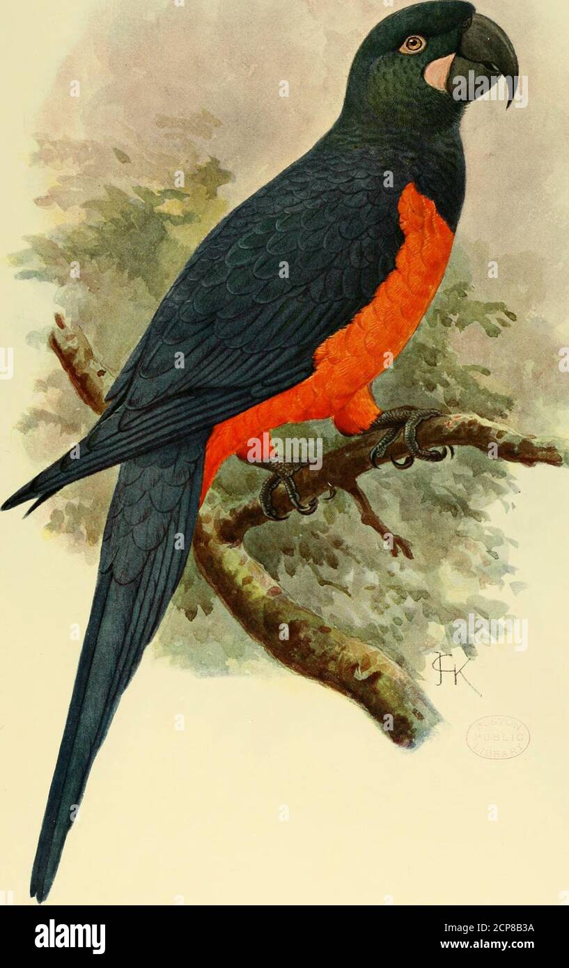 Two fifths natural size hi-res stock photography and images - Alamy