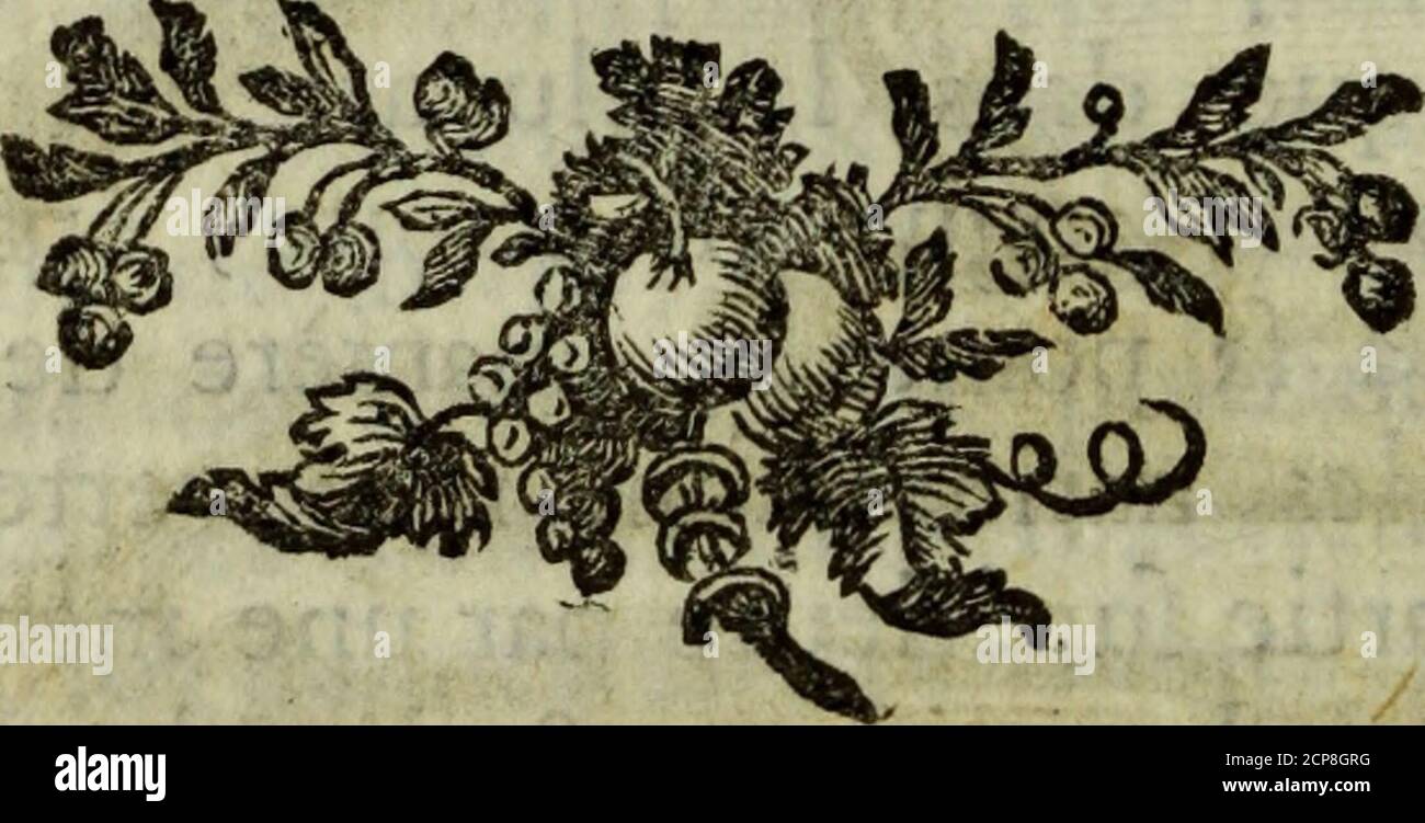 Pointe du doigt hi-res stock photography and images - Alamy