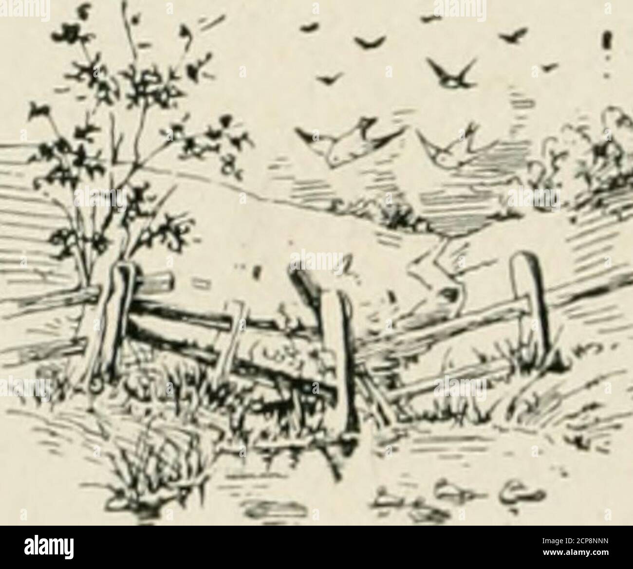 Mrs salter hi-res stock photography and images - Alamy