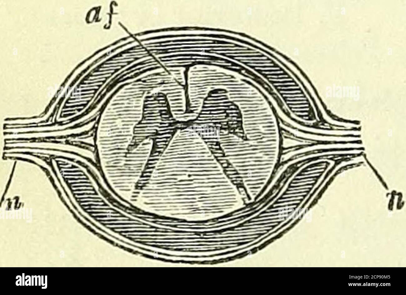 Anexterior hi-res stock photography and images - Alamy