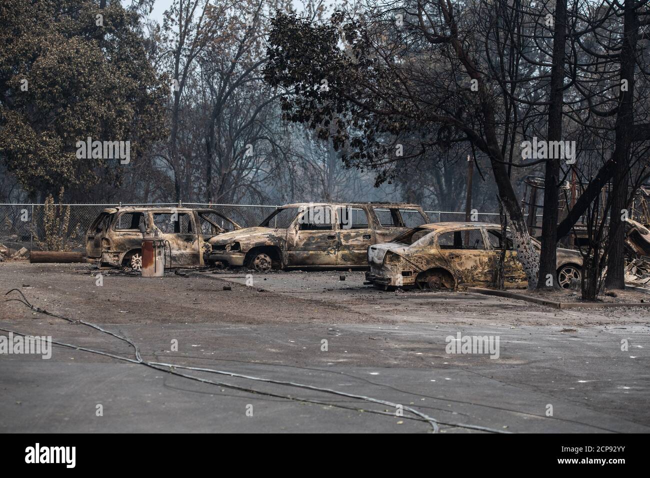 Phoenix, United States. 18th Sep, 2020. PHOENIX, ORE - SEPTEMBER 18 ...