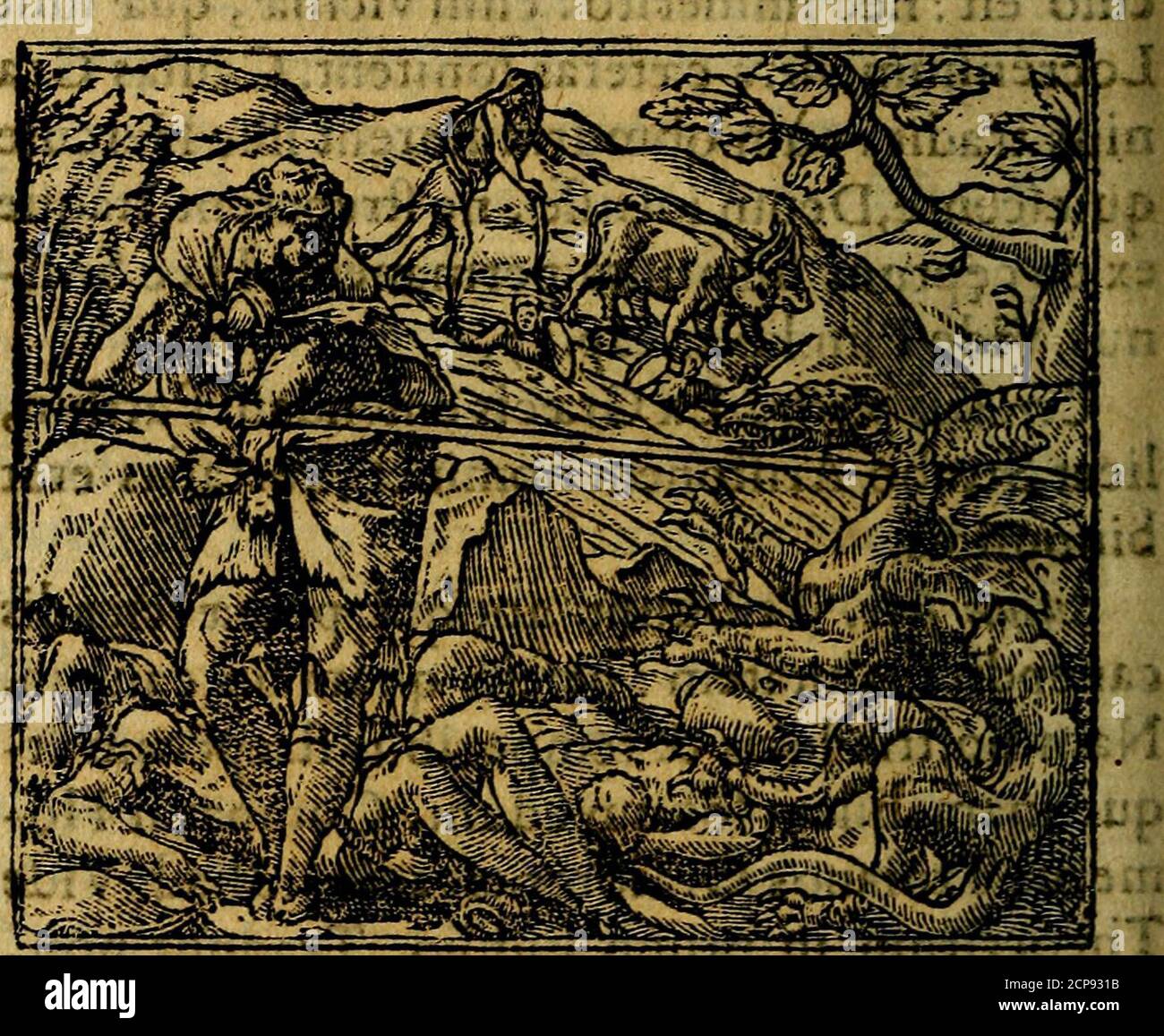 Cithara apollo hi-res stock photography and images - Alamy