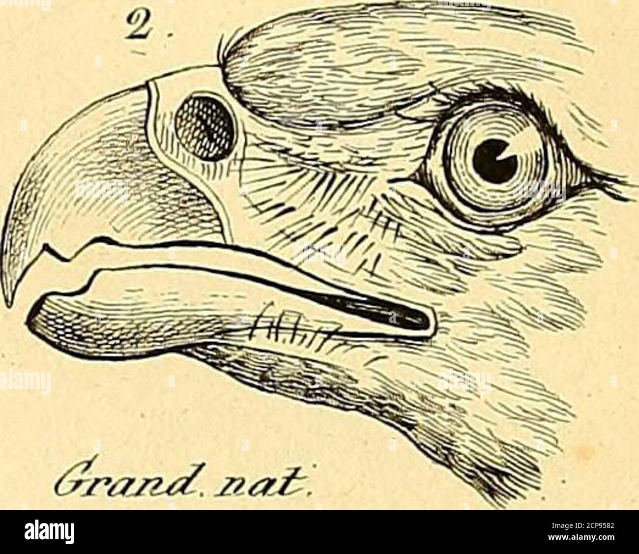 Azit hi-res stock photography and images - Alamy