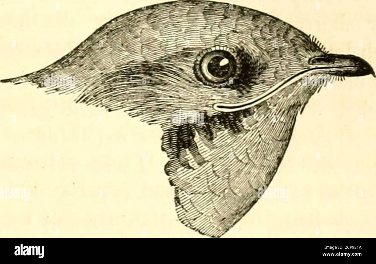 Gait Aid High Resolution Stock Photography and Images - Alamy