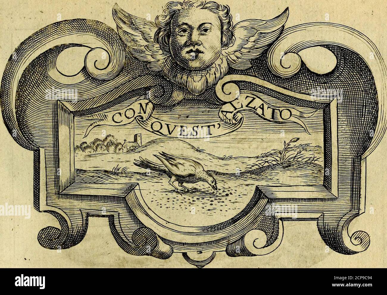 Furfures hi-res stock photography and images - Alamy