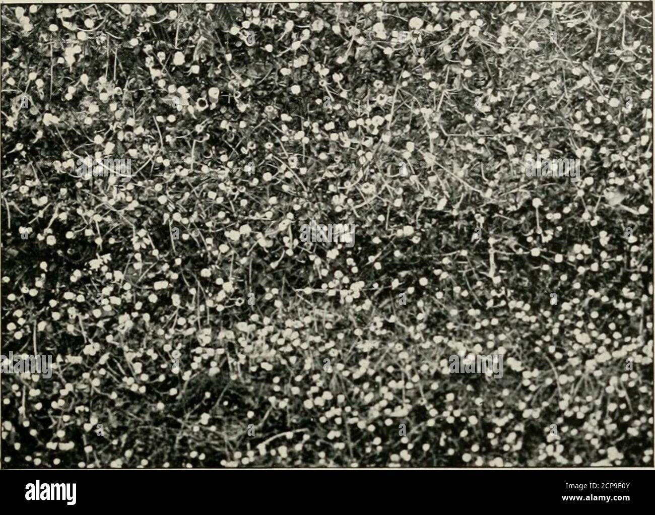 Magnesium lamp hi-res stock photography and images - Alamy