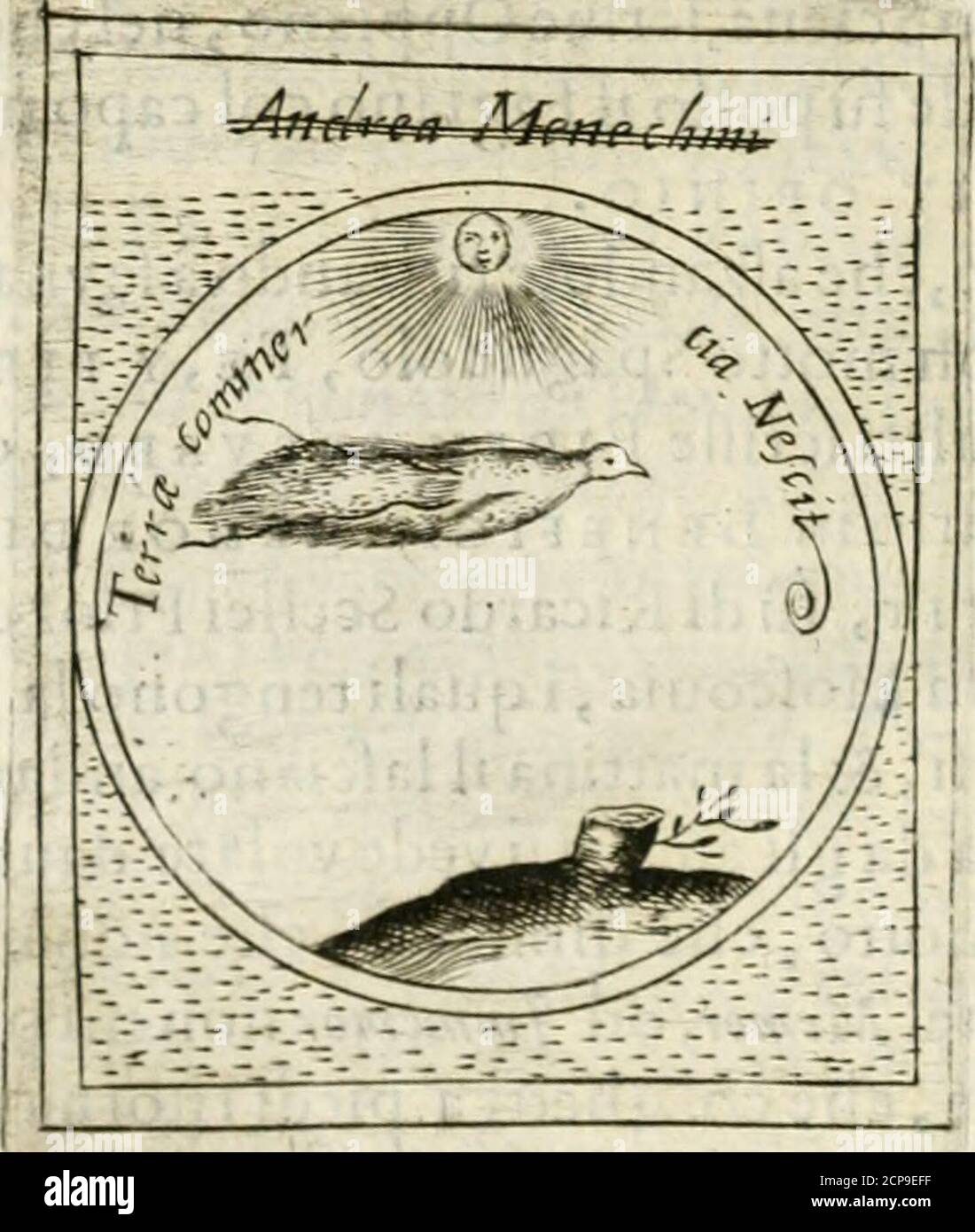 Occhi di pollo hi-res stock photography and images - Alamy