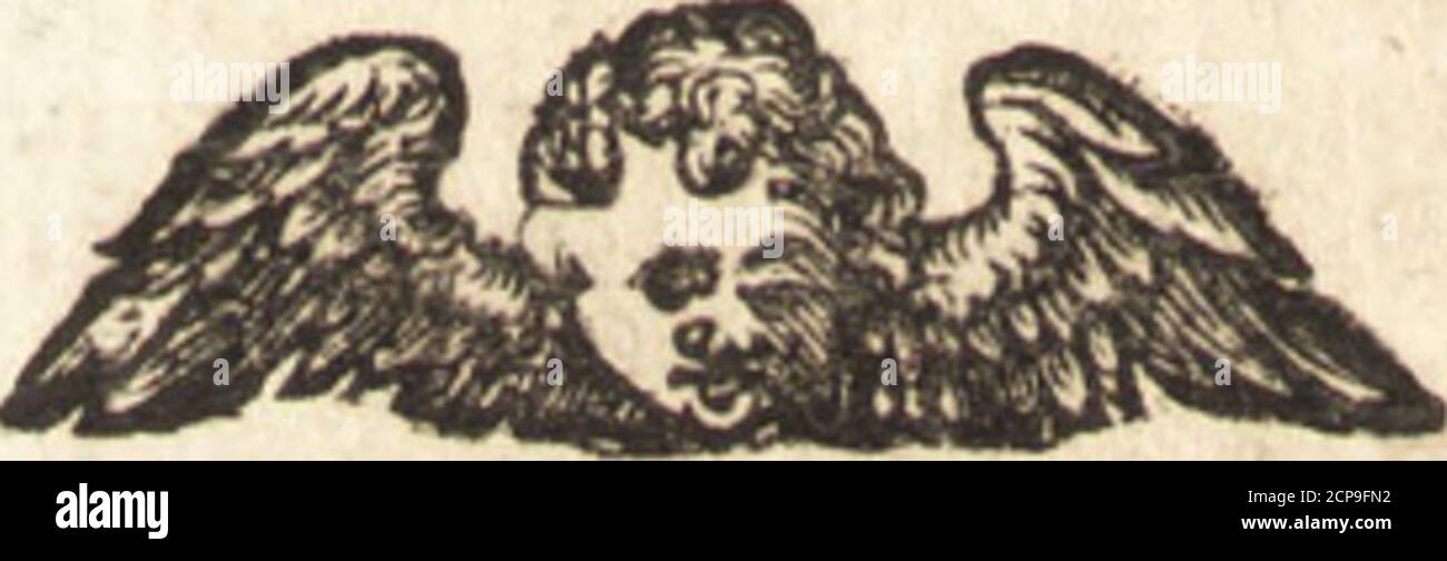 Pulcro hi-res stock photography and images - Alamy