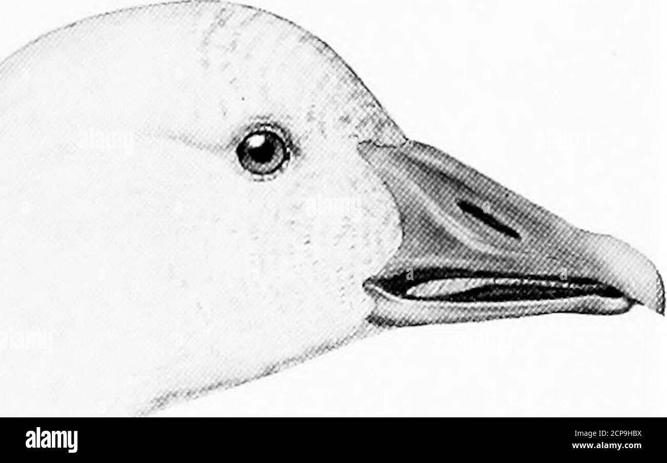 E 10 2 34 Black and White Stock Photos & Images - Alamy