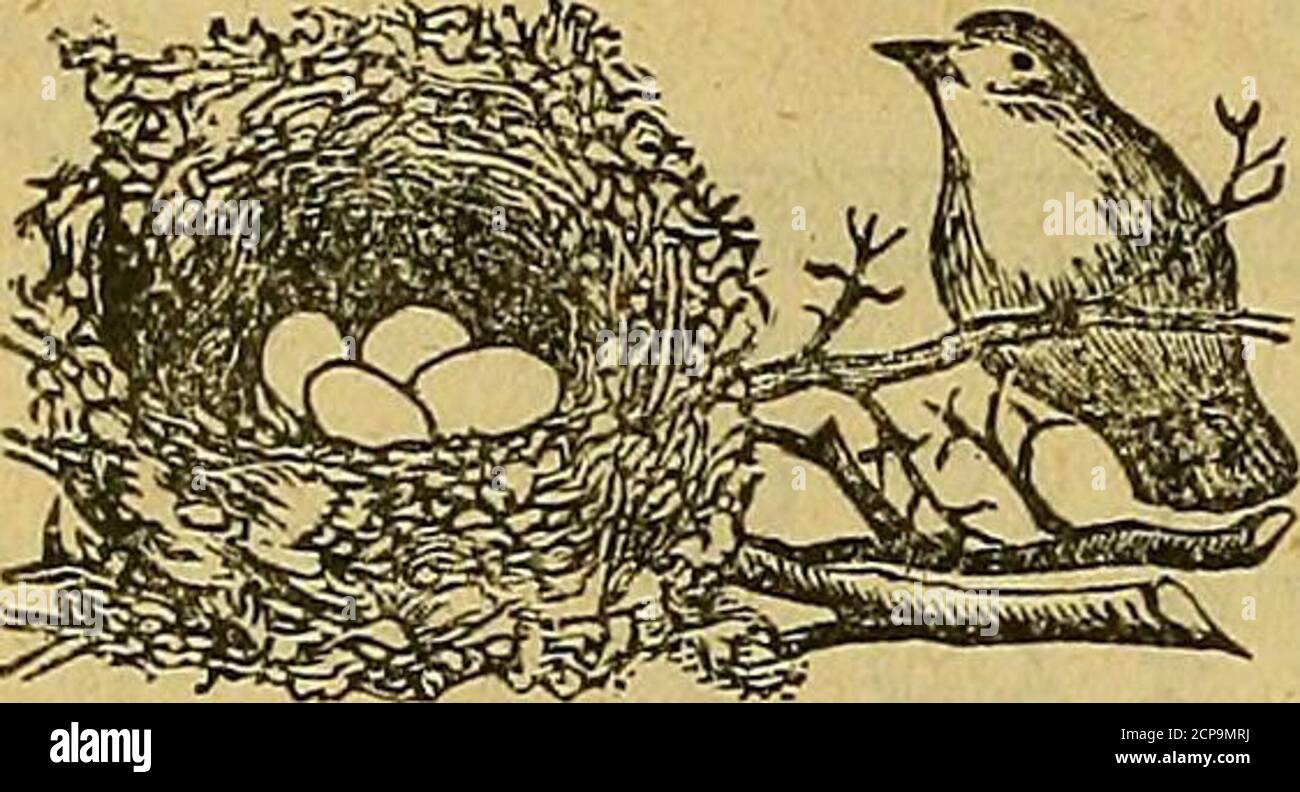 Ors desiring hi-res stock photography and images - Alamy