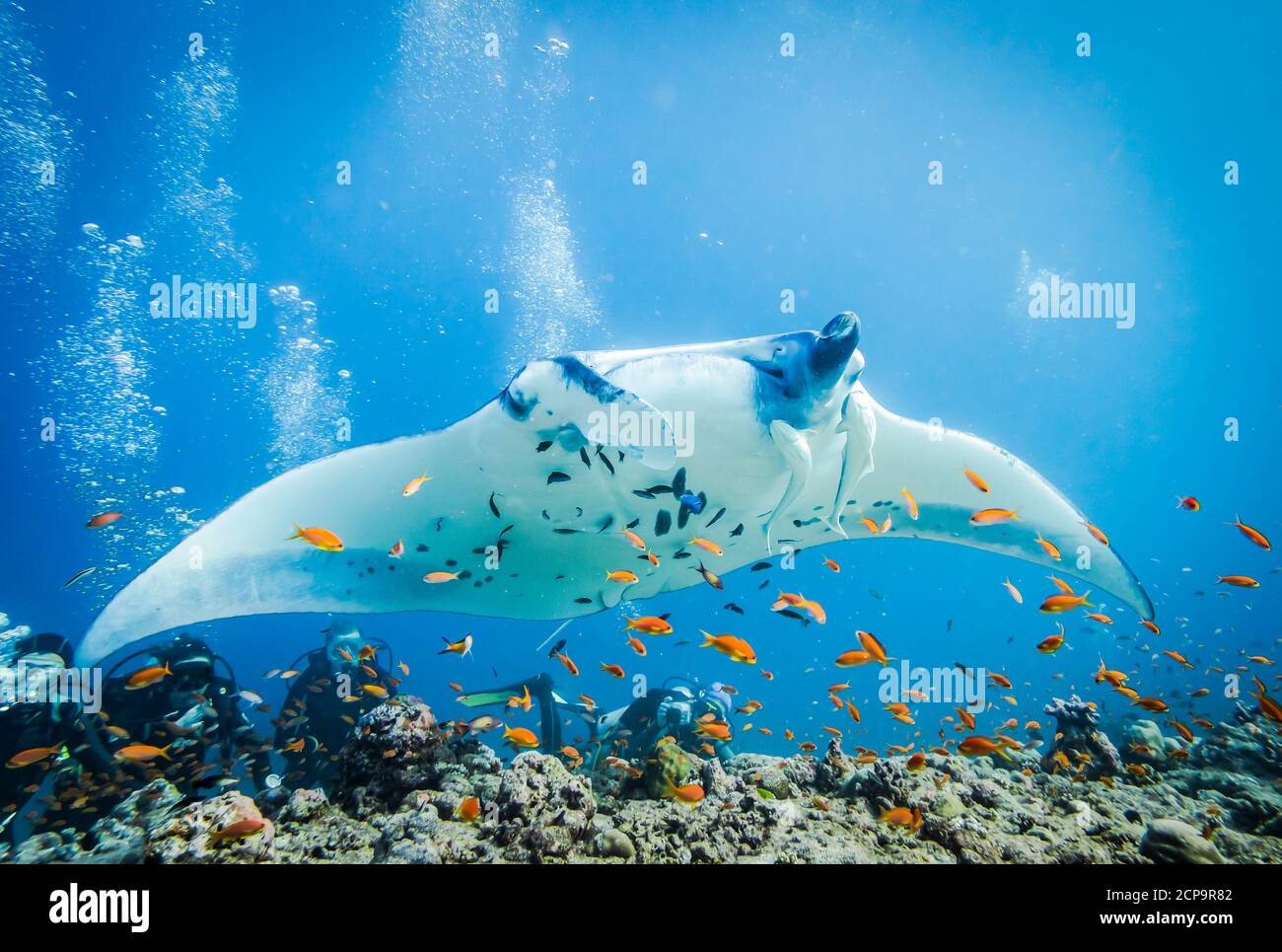 See over their heads hi-res stock photography and images - Alamy