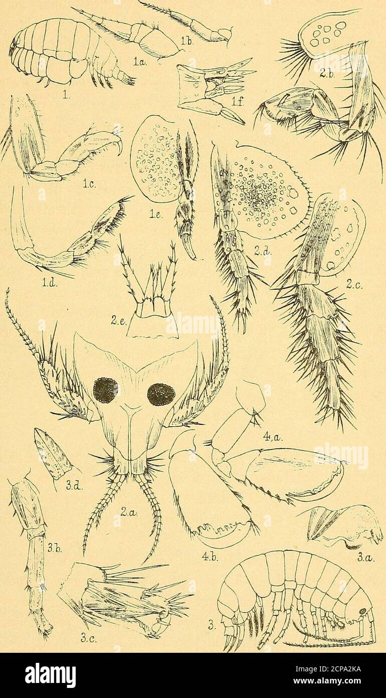 Batei hi-res stock photography and images - Alamy