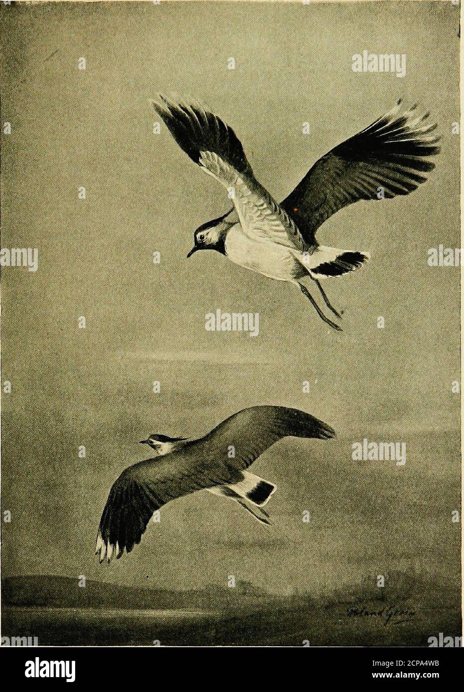 Joyful ascent hi-res stock photography and images - Alamy