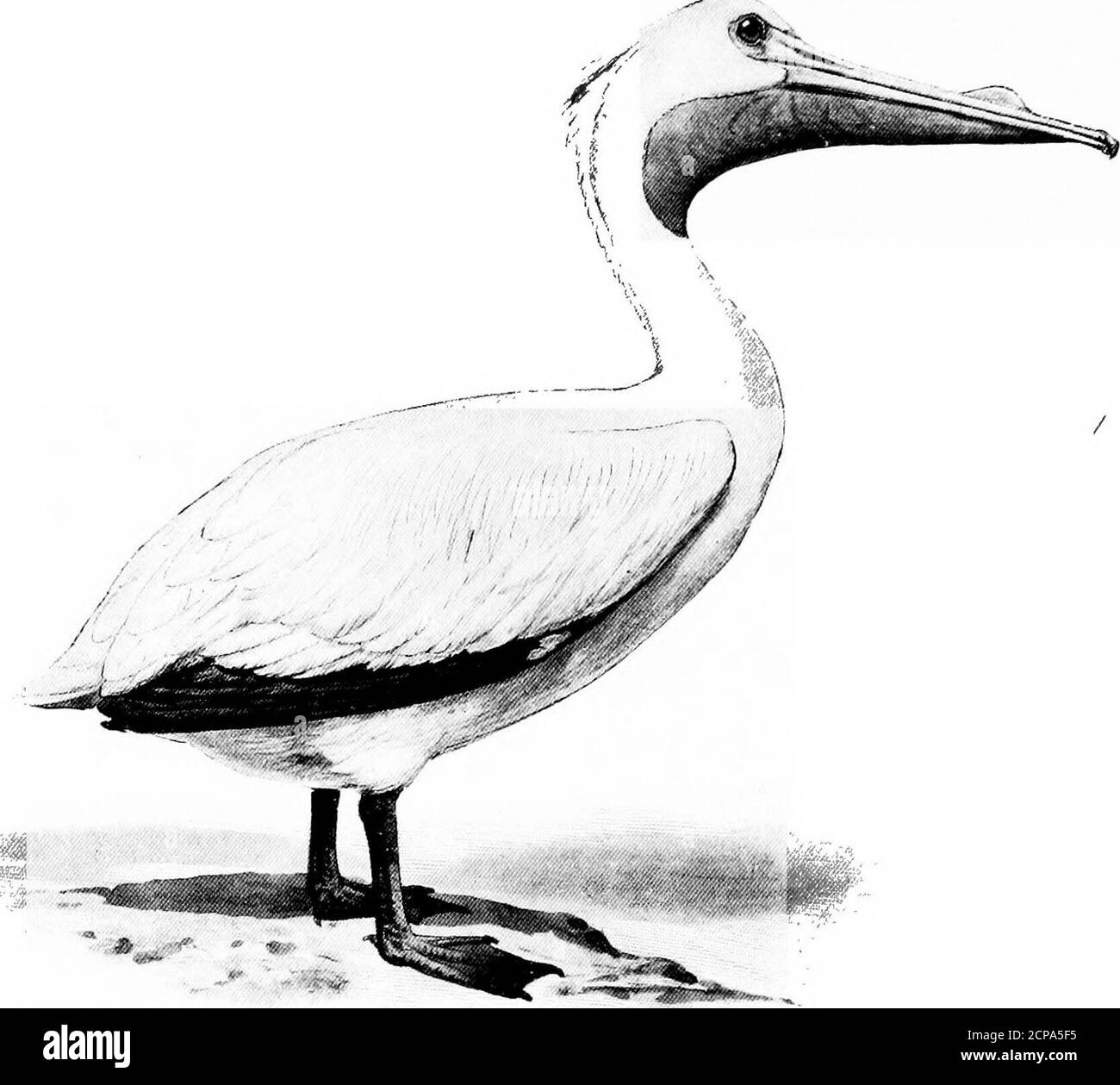 E 5 36 12 Black and White Stock Photos & Images - Alamy