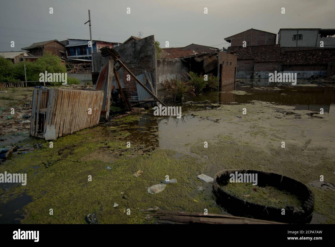 Submerged coastal area suffering from land subsidence and seawater ...