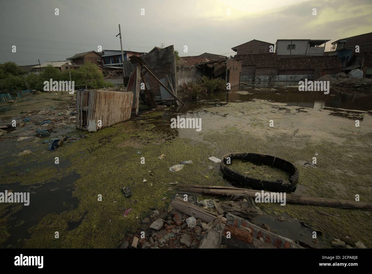 Submerged coastal area suffering from land subsidence and seawater ...