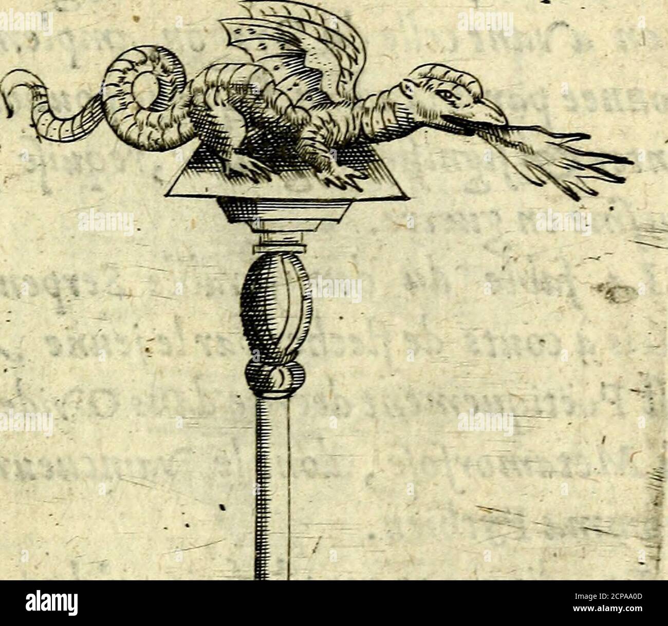 Queue de dragon hi-res stock photography and images - Alamy