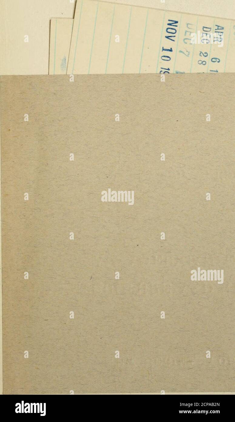 Black necked stilt roseate spoonbill hi-res stock photography and ...