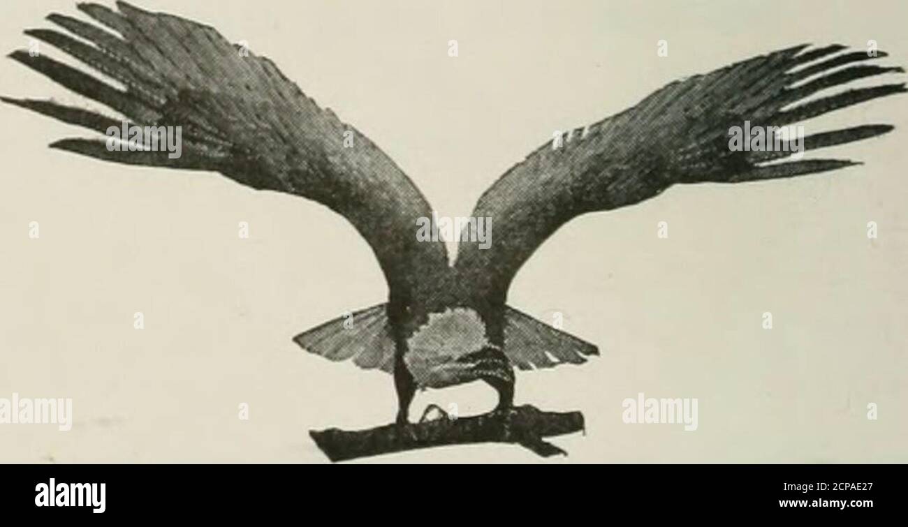 26th u s infantry hi-res stock photography and images - Alamy