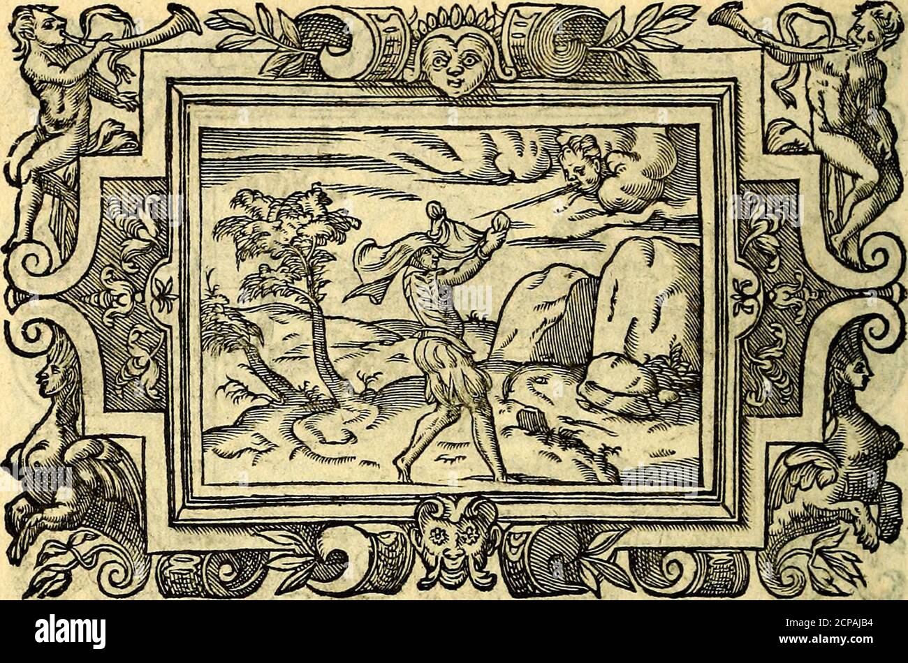 Nn emblema hi-res stock photography and images - Alamy