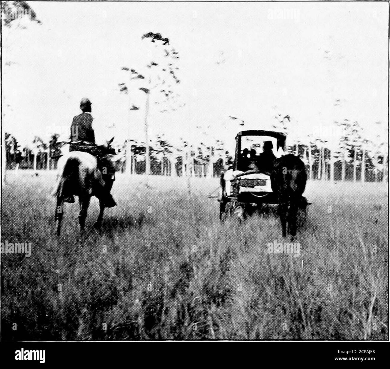 Seminole indians hunting Black and White Stock Photos & Images - Alamy