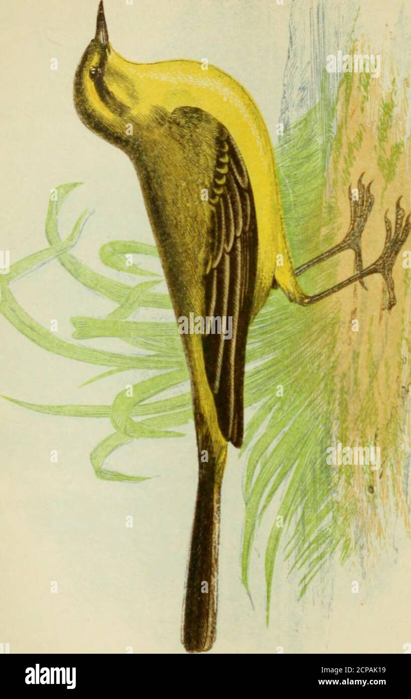 Yellow dashes of colour hi-res stock photography and images - Alamy