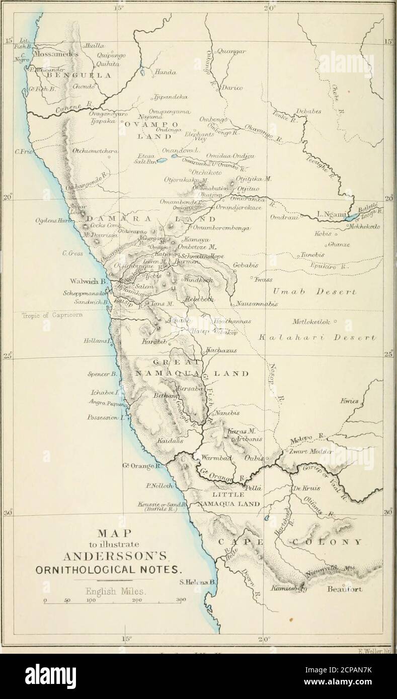 Sweden birds notes hi-res stock photography and images - Alamy