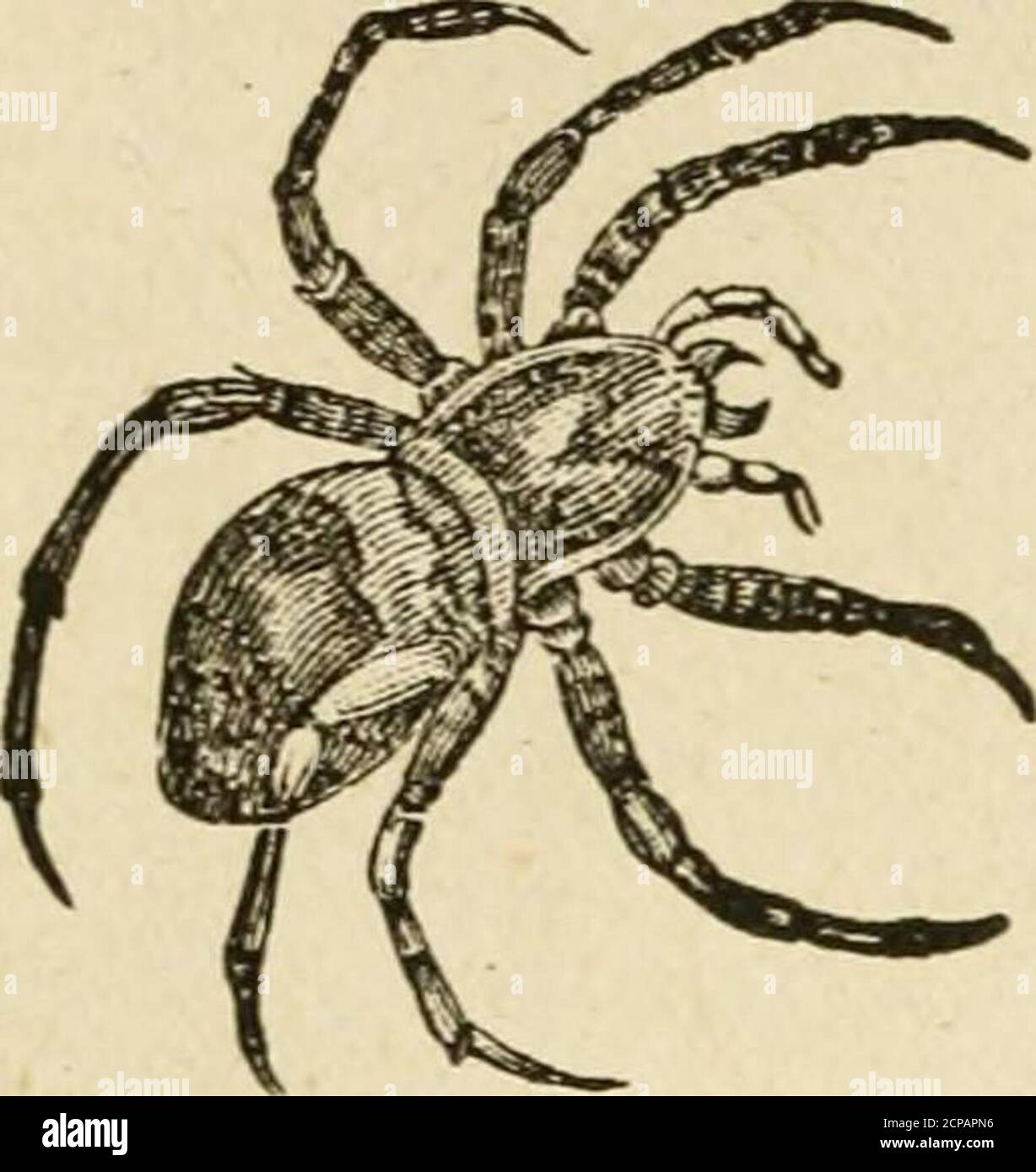 Clamminess hi-res stock photography and images - Alamy