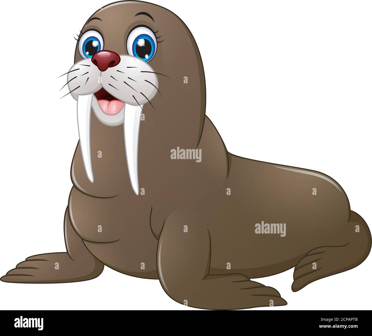 Vector illustration of Cute walrus cartoon Stock Vector Image & Art - Alamy