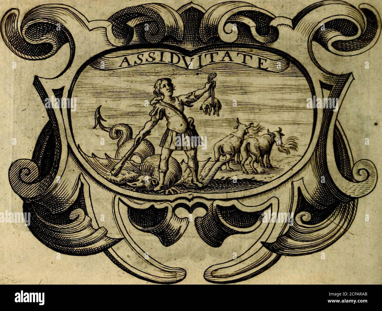 . Symbola heroica . mate^Tv ne Cede malis.tamquamis,quipari fortitudine ...